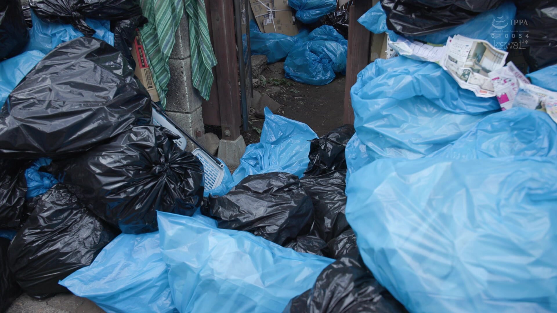 Cawd-797 - Best photos on imaginotion.fr